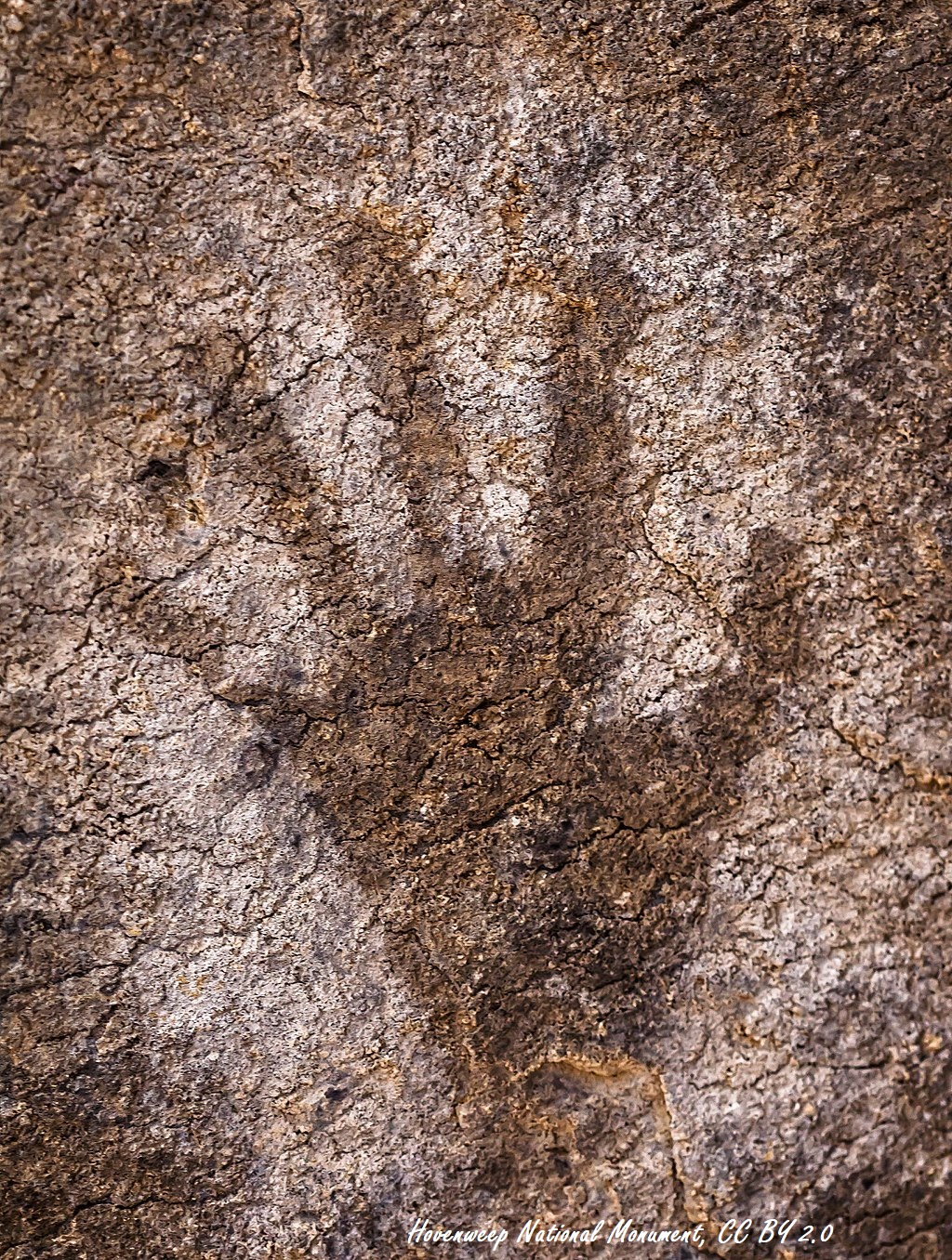 Our Approach to Depression. - Wild Plains Medicine